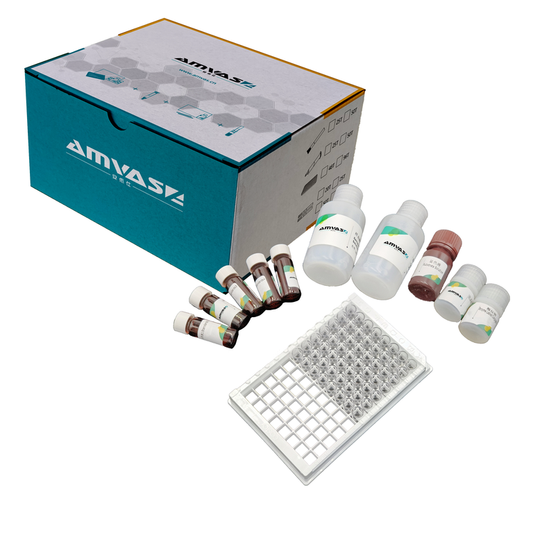 Amfast® Total Fumonisin Enzyme Immunoassay Kit – amvas